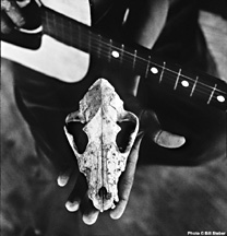 Bill Steber | Twelve Photographs